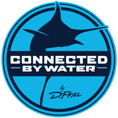 D. Friel | Award Winning Artist